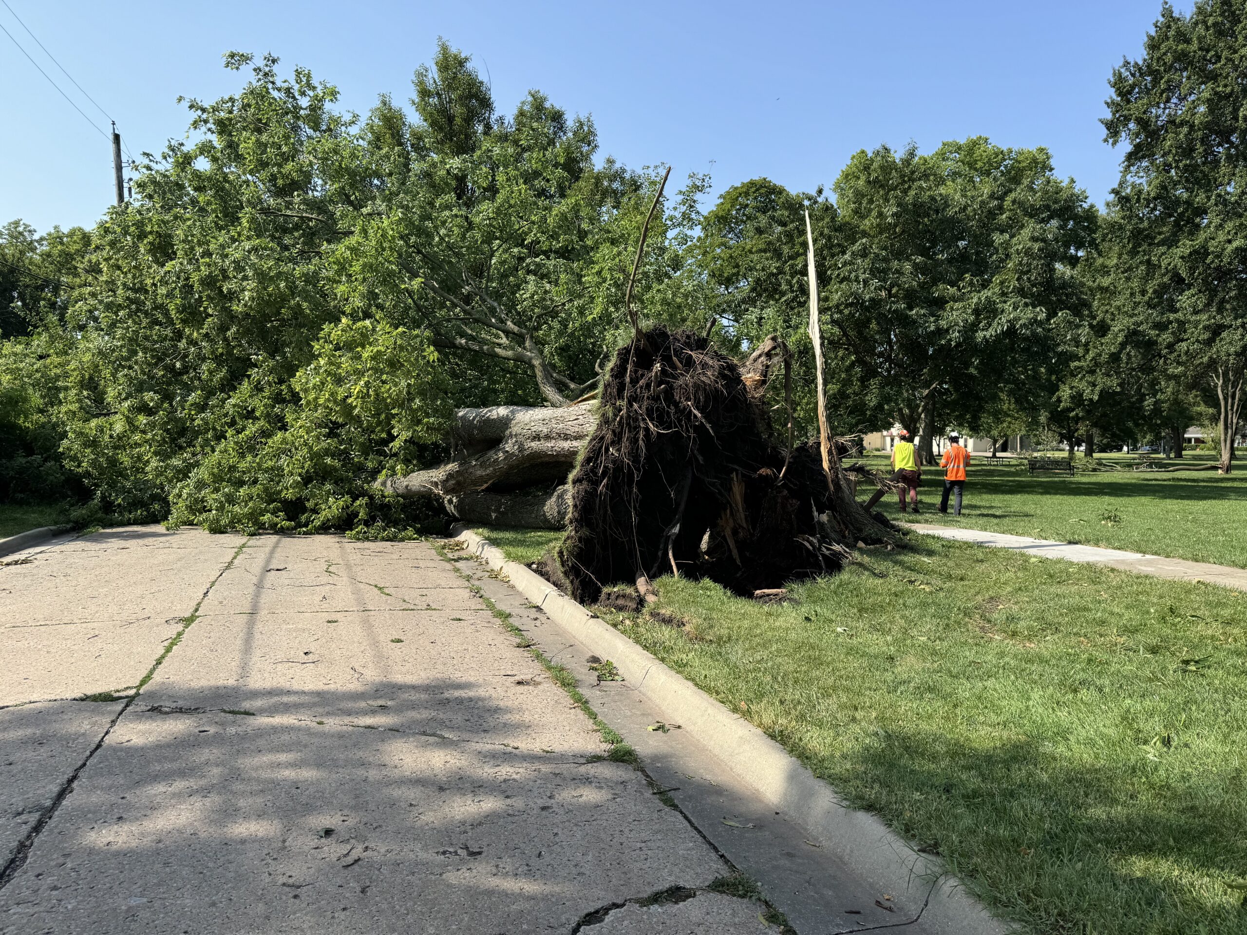 Strong overnight winds knock power out for more than 100K customers in ...